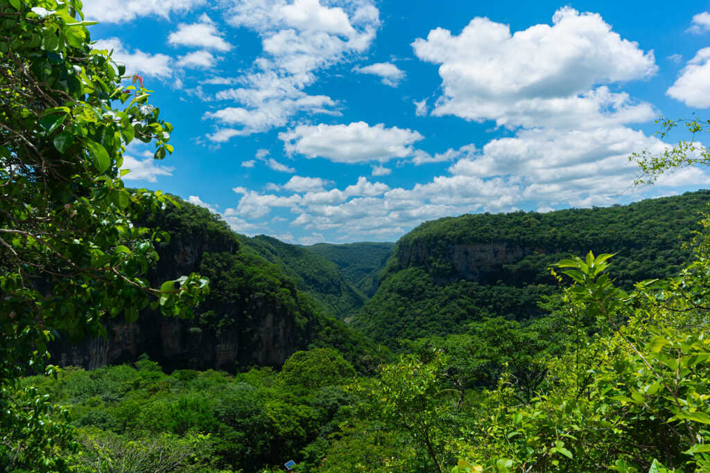 Micro climas de Montaña: Guía Experta | Revista de aventura y naturaleza.